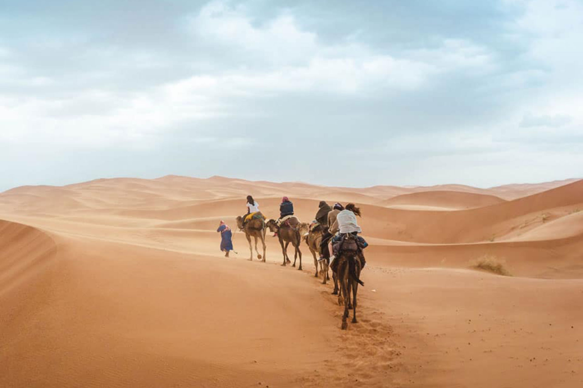 Tours Archive - Sahara Calling